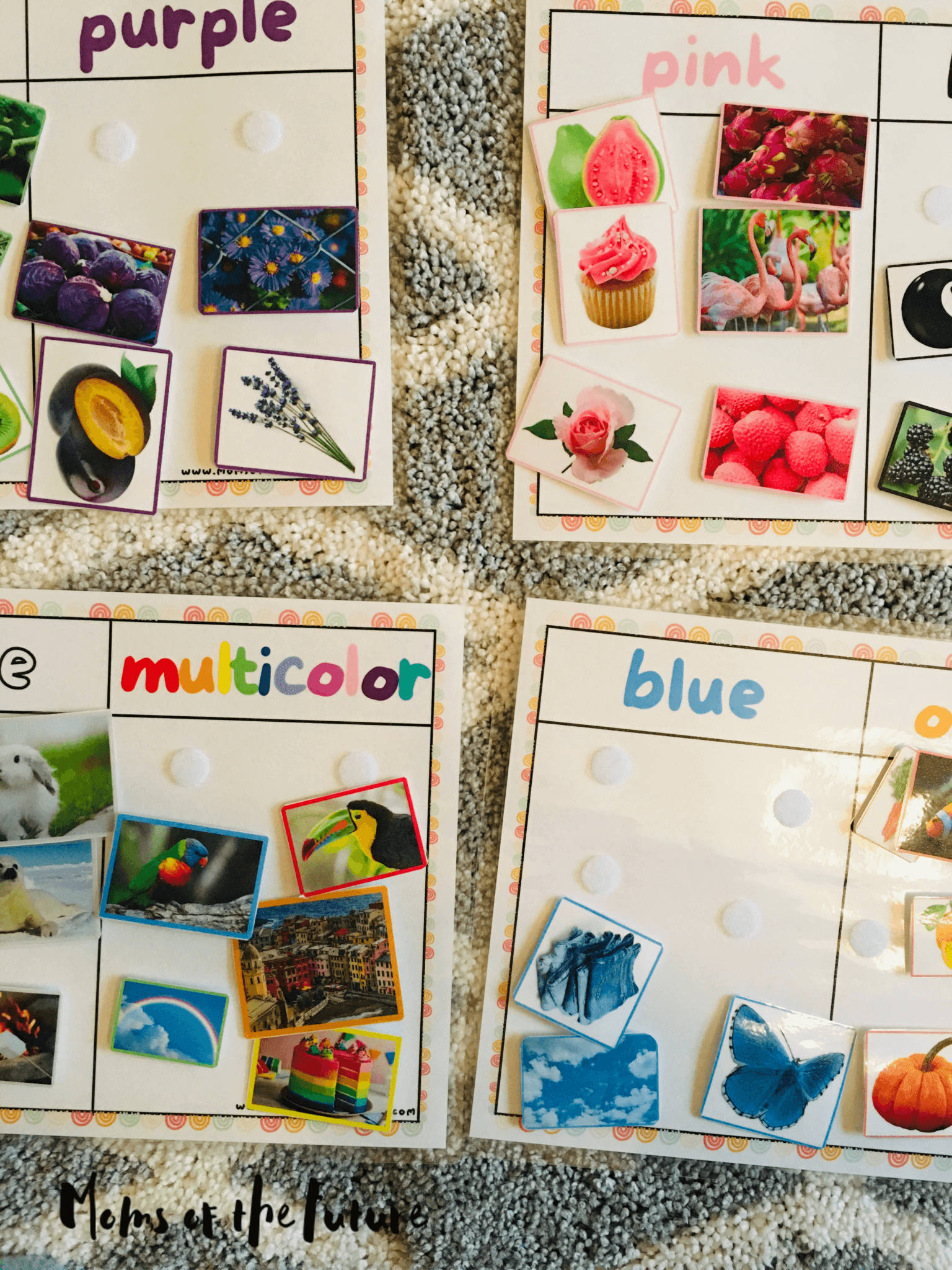 Boost Your Child’s Learning with Montessori Sensory Color Sorting ...