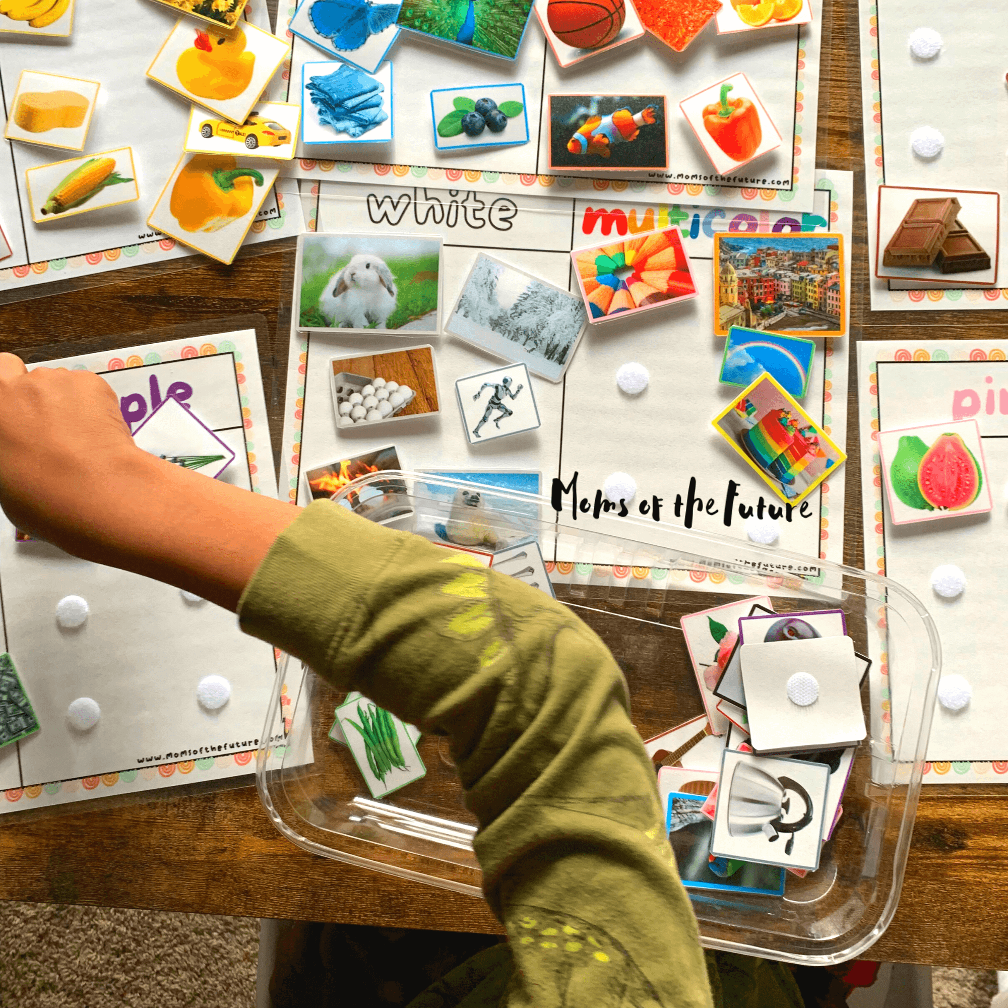 Boost Your Child’s Learning with Montessori Sensory Color Sorting ...